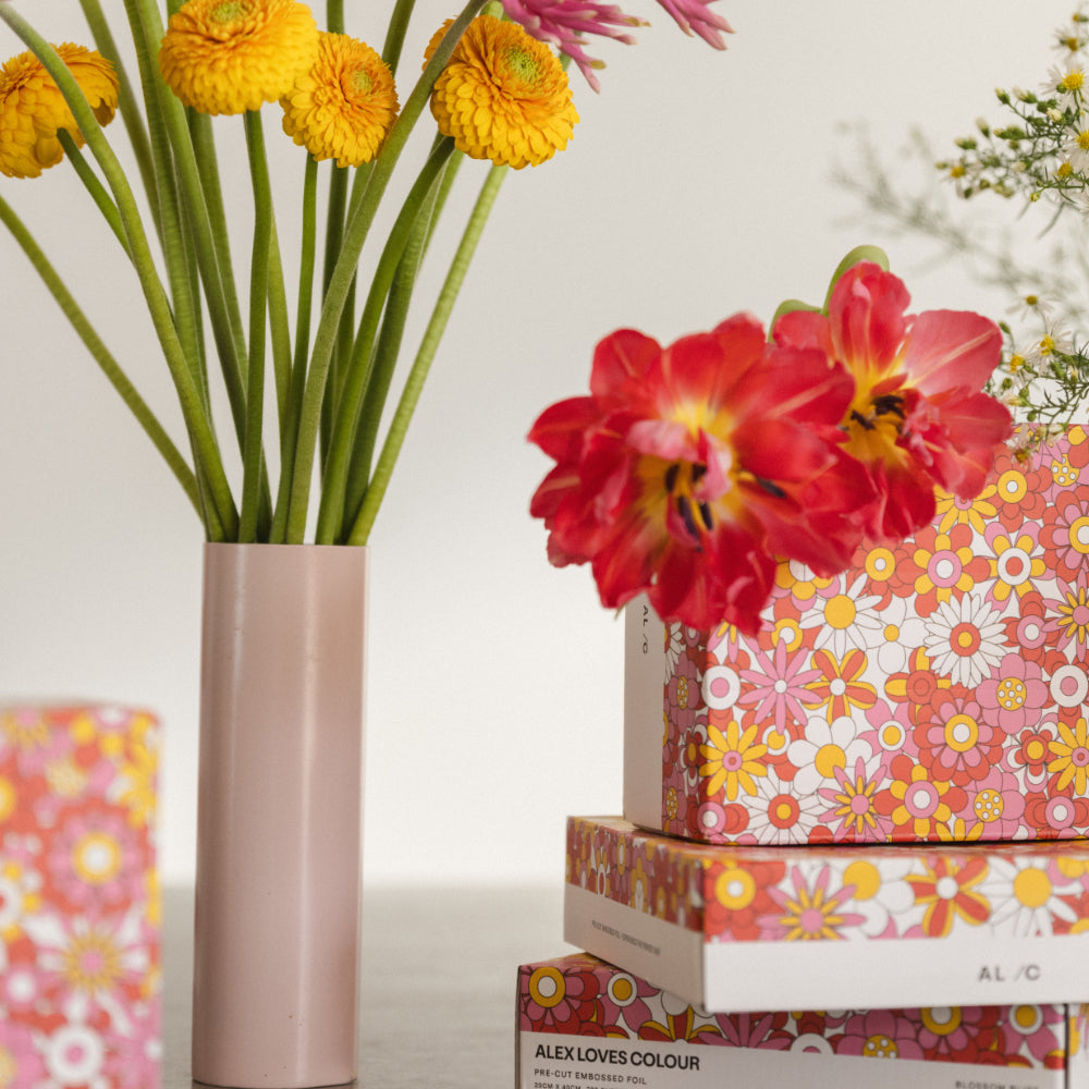 All Products – Alex Loves Colour